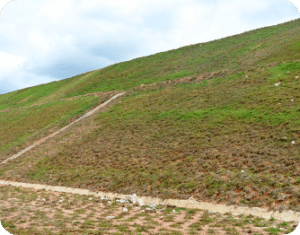 Industrial Ground Stabilization Solutions | BaseCore™