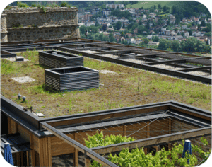 Industrial Ground Stabilization Solutions | BaseCore™